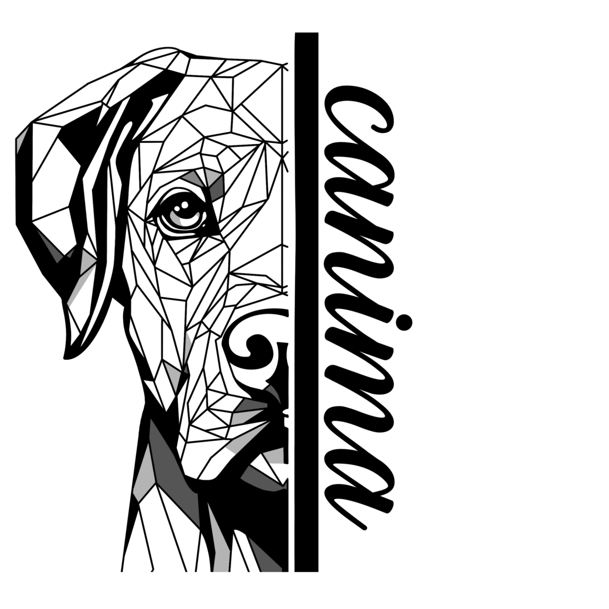 hundetraining,hundecoaching,verhaltensverbesserung für hunde,